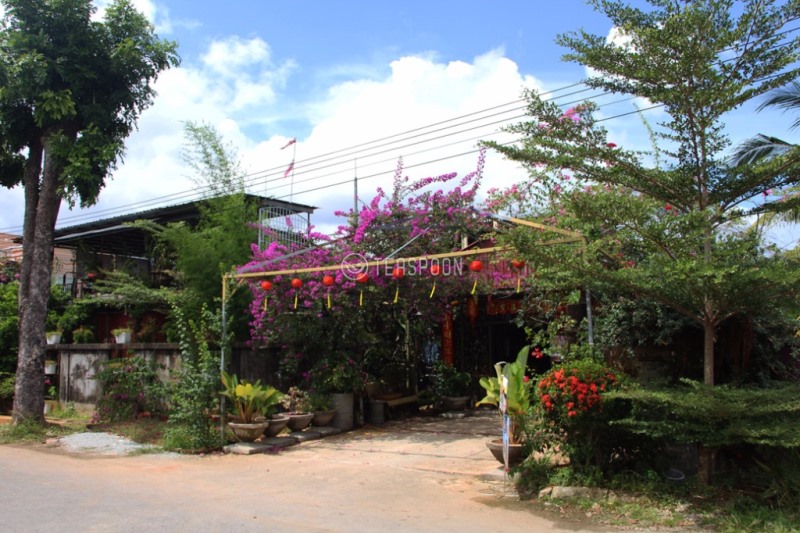 “HOTTEST” Laksa in Town! - Teaspoon