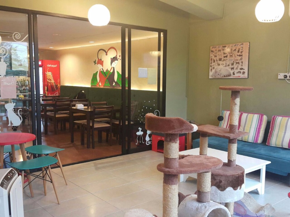 Meow Meow Cat Cafe - Teaspoon